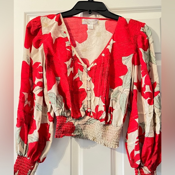 Bog Collective | Tops | Colorful Long Sleeve Crop Top | Poshmark